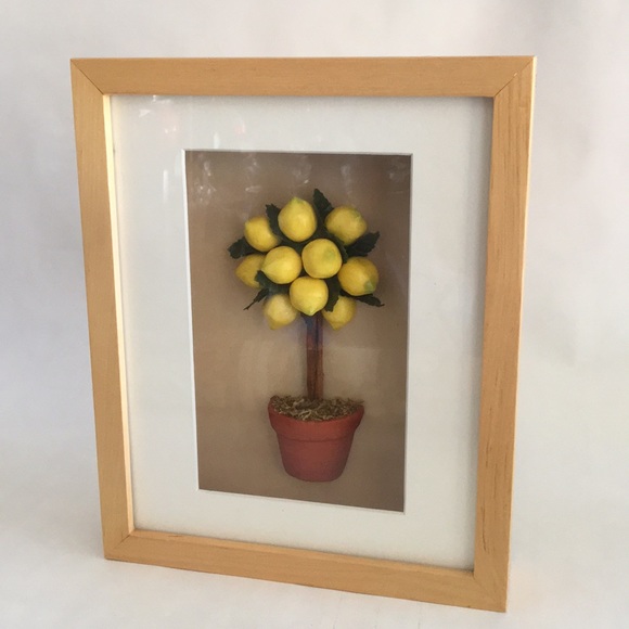 Accents | Last 1 Lemon Tree Shadow Box | Poshmark